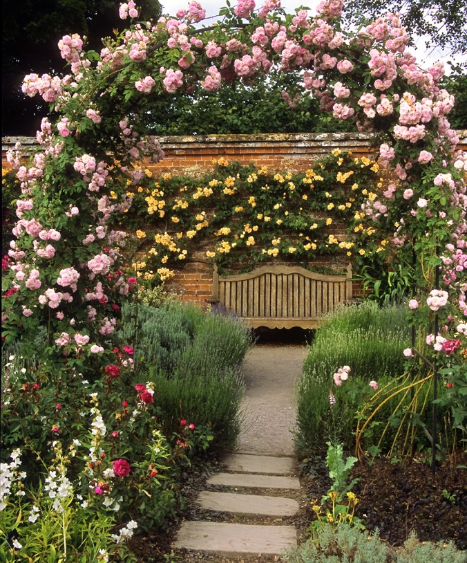 How to Grow Climbing Roses | John Denson's World of Gardens