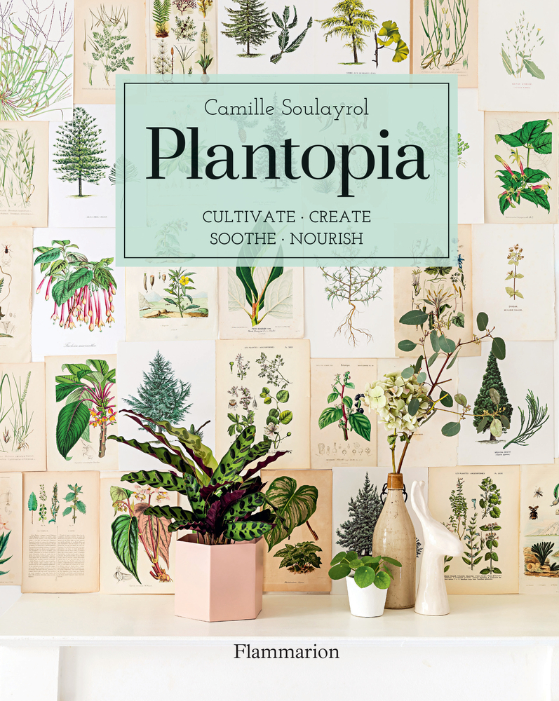 Book Review: “Plantopia: Cultivate, Create, Soothe, Nourish” by Camille ...