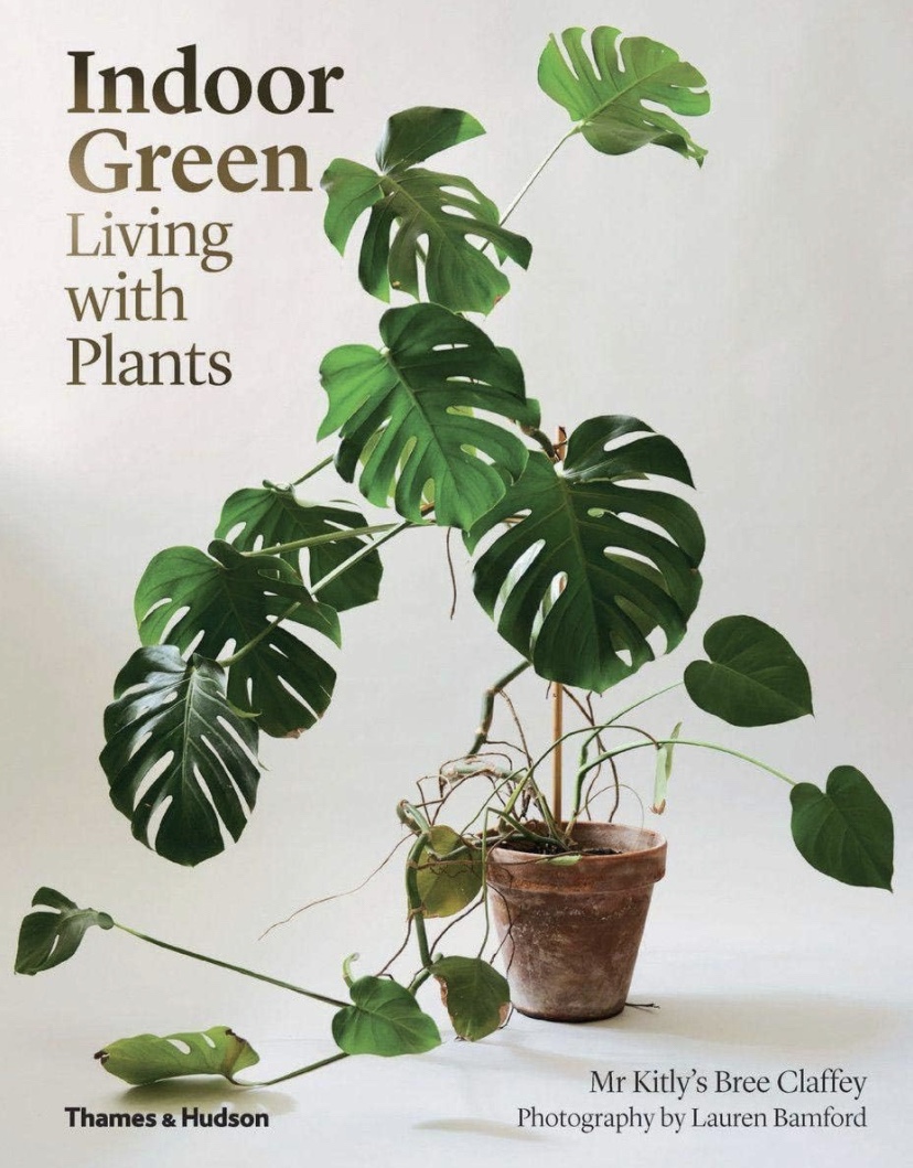 Book Review: ‘Indoor Green: Living with Plants’ by Bree Claffey | John ...
