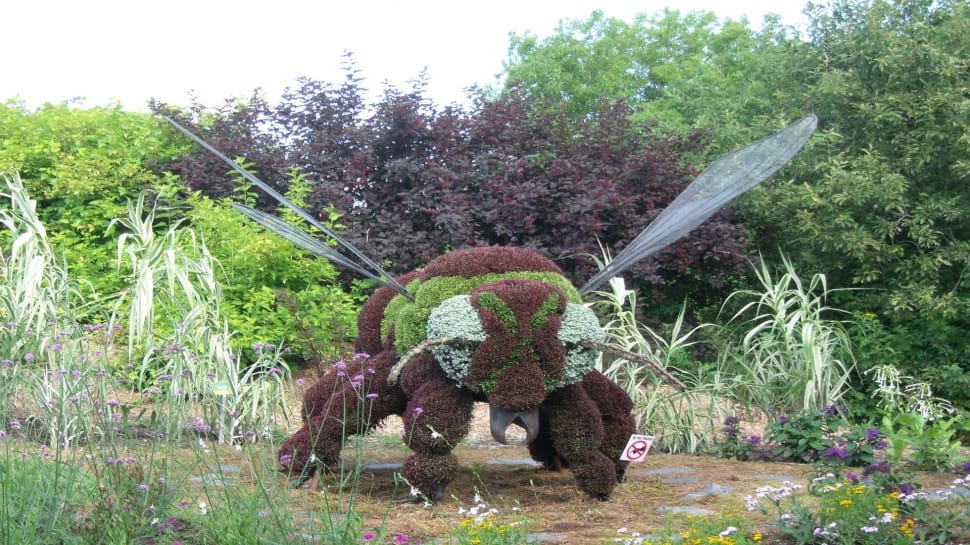 Guest PostEdward Scissorhands’ Macabre Guide to Shrubs and Rebellion ...